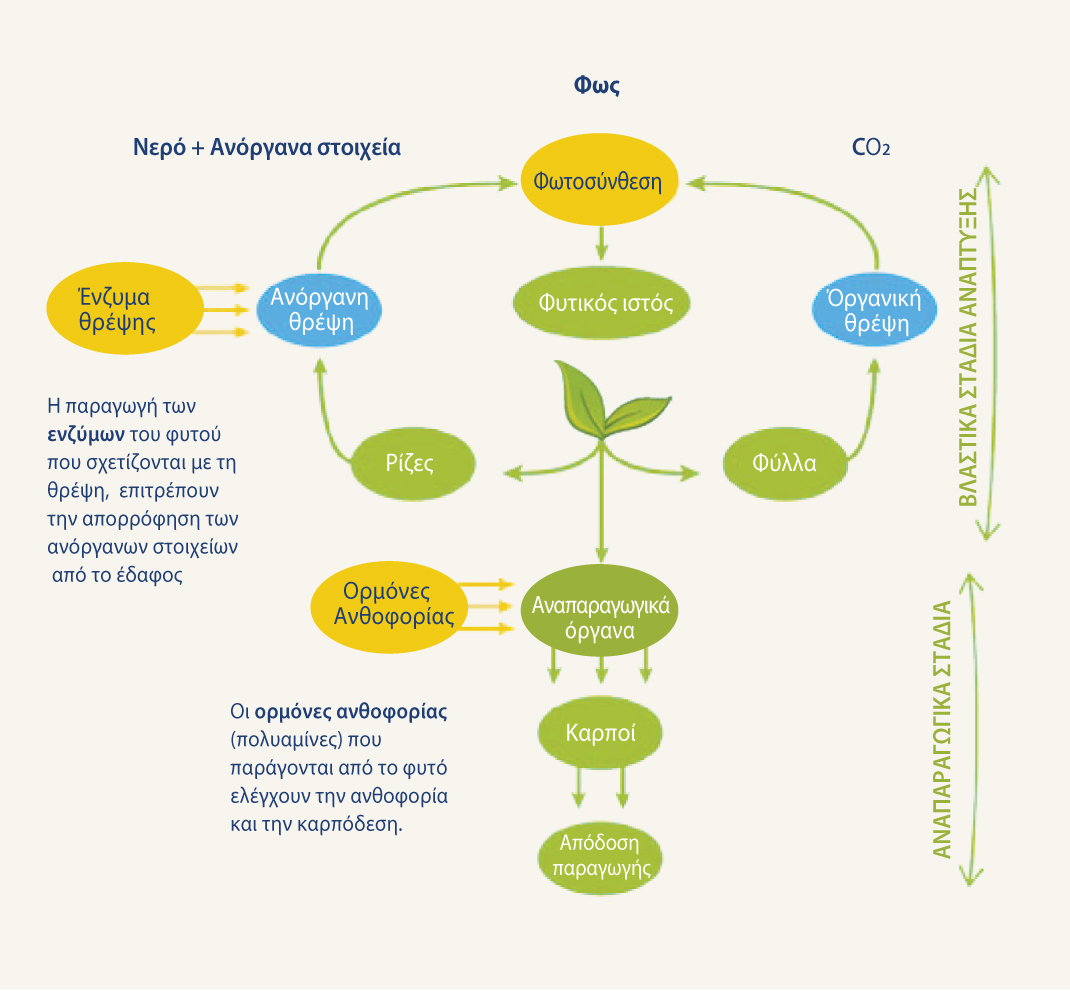 BM 86 – Σιγουριά στην Καρπόδεση | Farmacon • Novagreen A.E.
