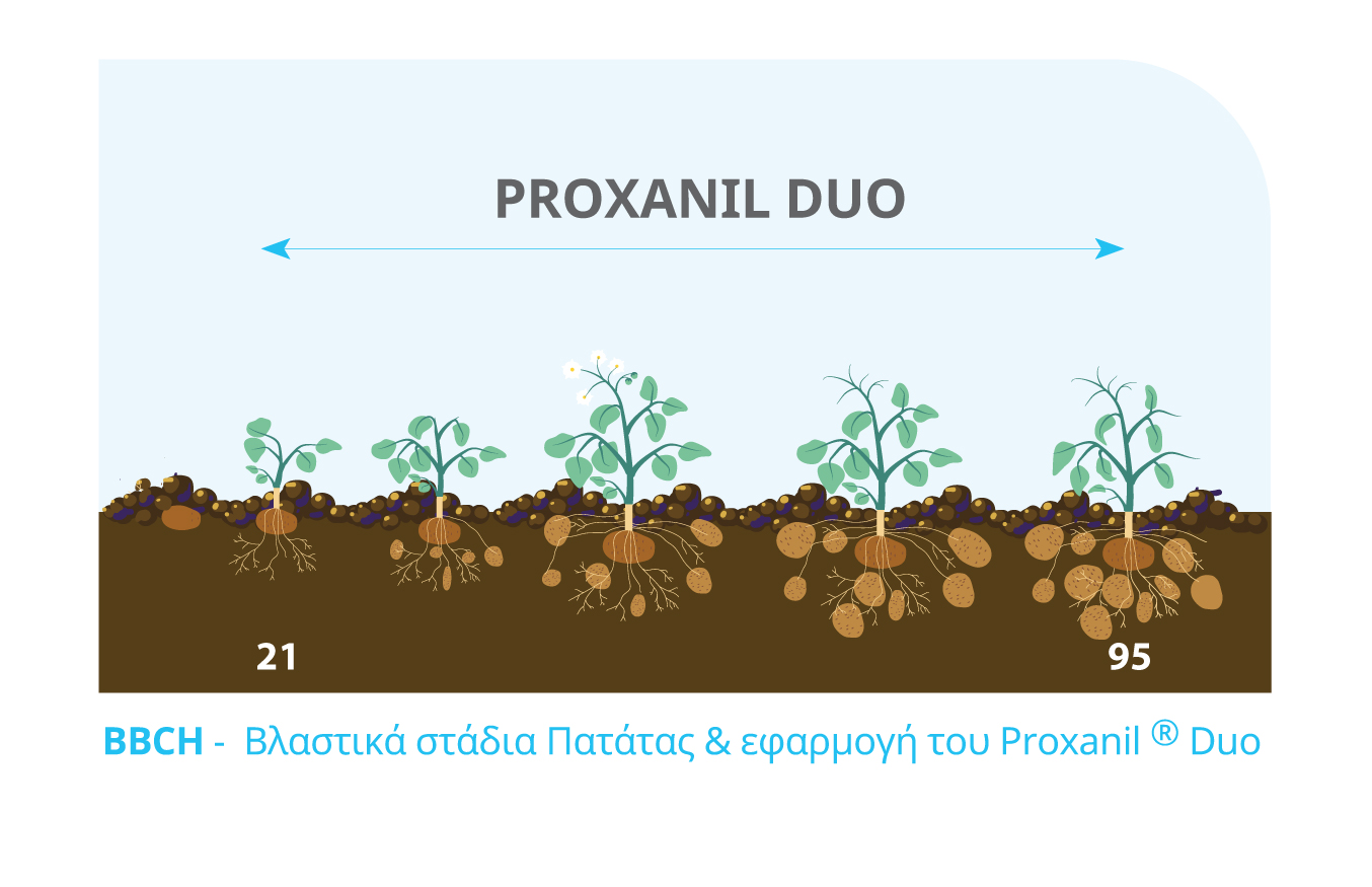 Proxanil® Duo – Μυκητοκτόνο Διπλής δύναμης ενάντια στον Περονόσπορο ...