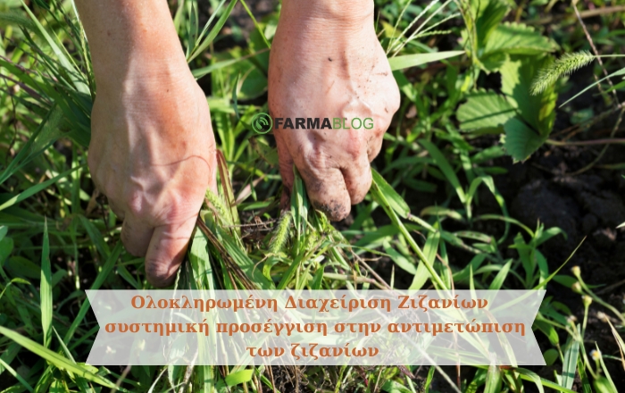 Μέθοδοι Λίπανσης : Πλεονεκτήματα - Μειονεκτήματα - Farmacon - Blog - Η ...