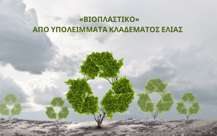 Έντομα και ασθένειες που προσβάλλουν τους καρπούς της ελιάς - Farmacon ...
